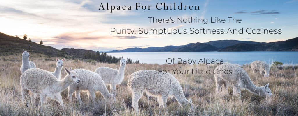 Alpaca Products For Children | Mt Caesar Alpacas