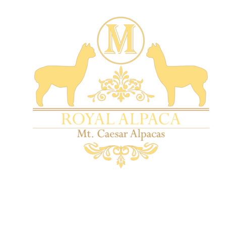 Mt. Caesar Alpacas Royal Alpaca – The Mark Of Luxury